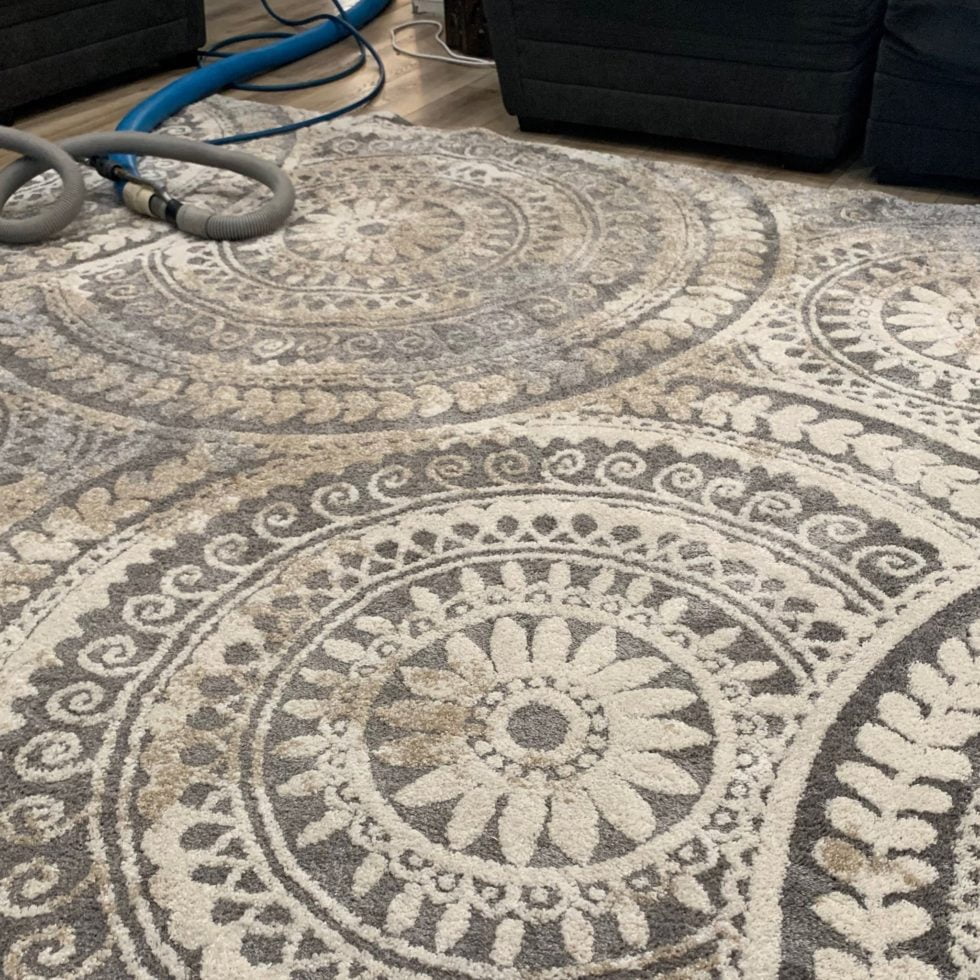 Importance of Contracting a Professional Carpet Cleaner - Terry's ...